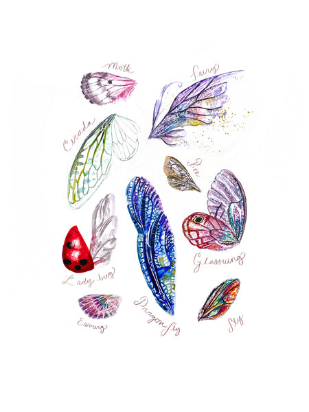 Wings – Flora Forager