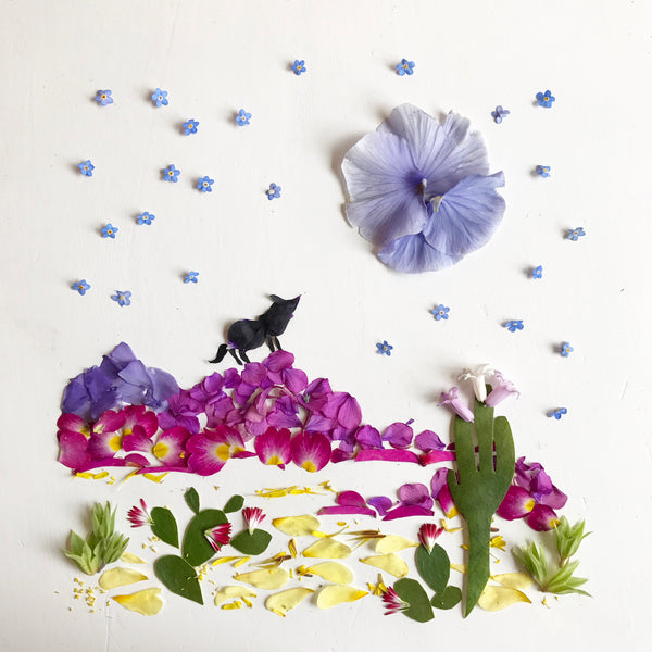 Desert – Flora Forager