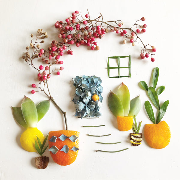 Santorini – Flora Forager