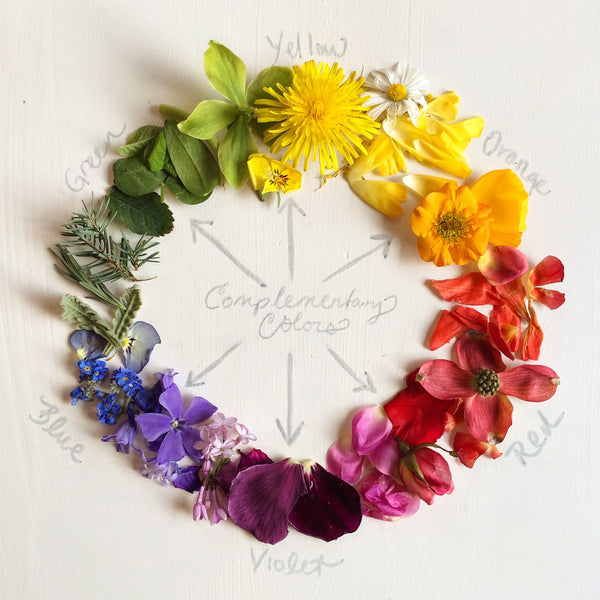 The Color Wheel – Flora Forager