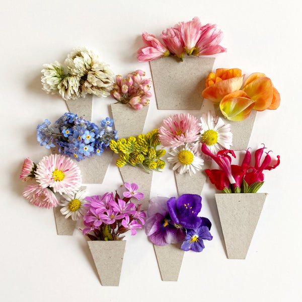 Flower shop – Flora Forager