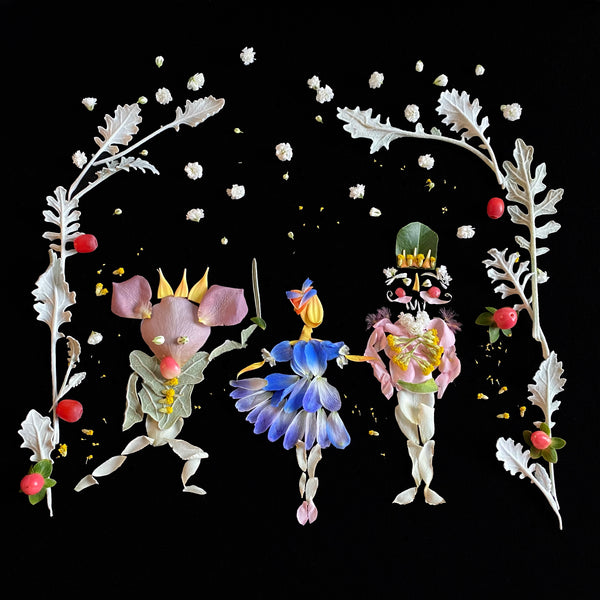 Nutcracker – Flora Forager